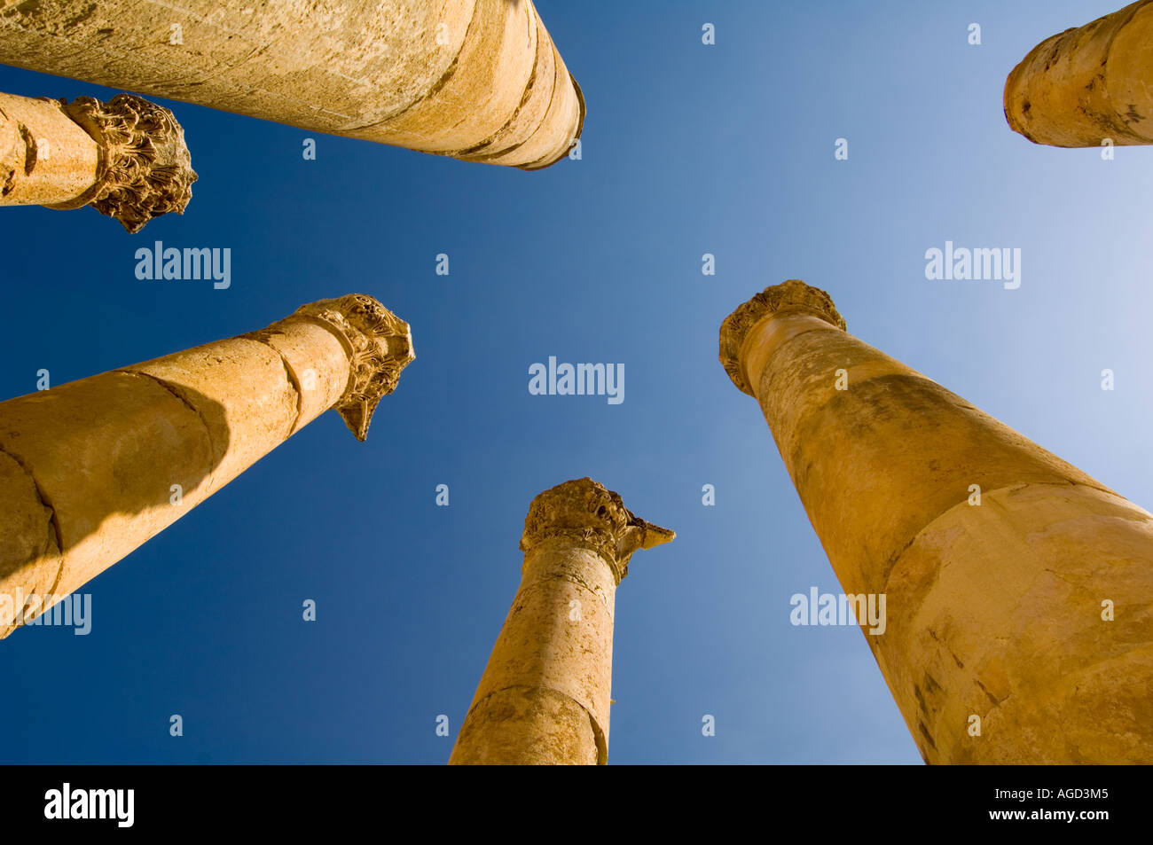Pillars at The Temple of Artemis at Jerash, Jordan Stock Photo - Alamy