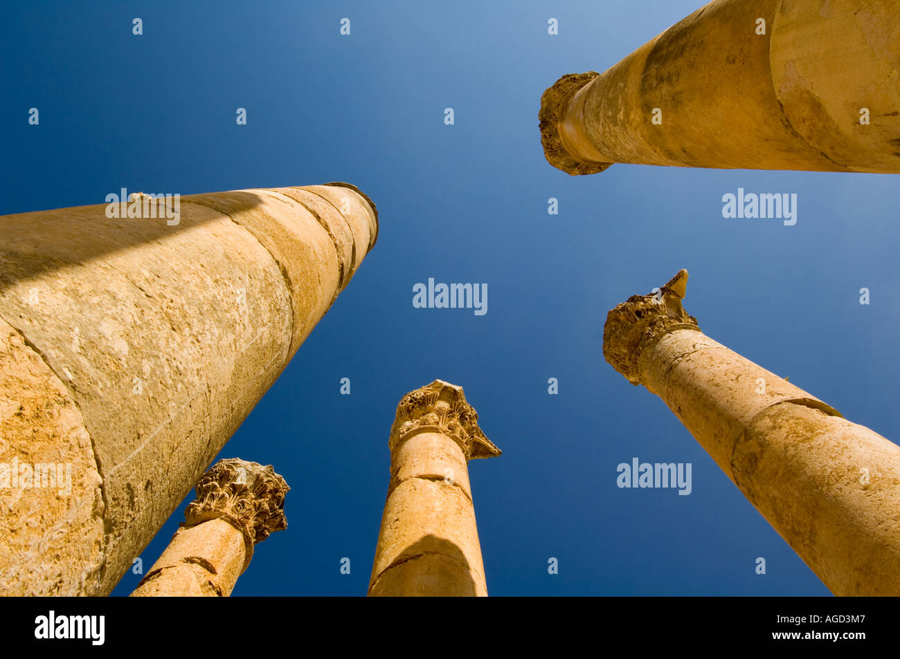 Pillars at The Temple of Artemis at Jerash, Jordan Stock Photo - Alamy
