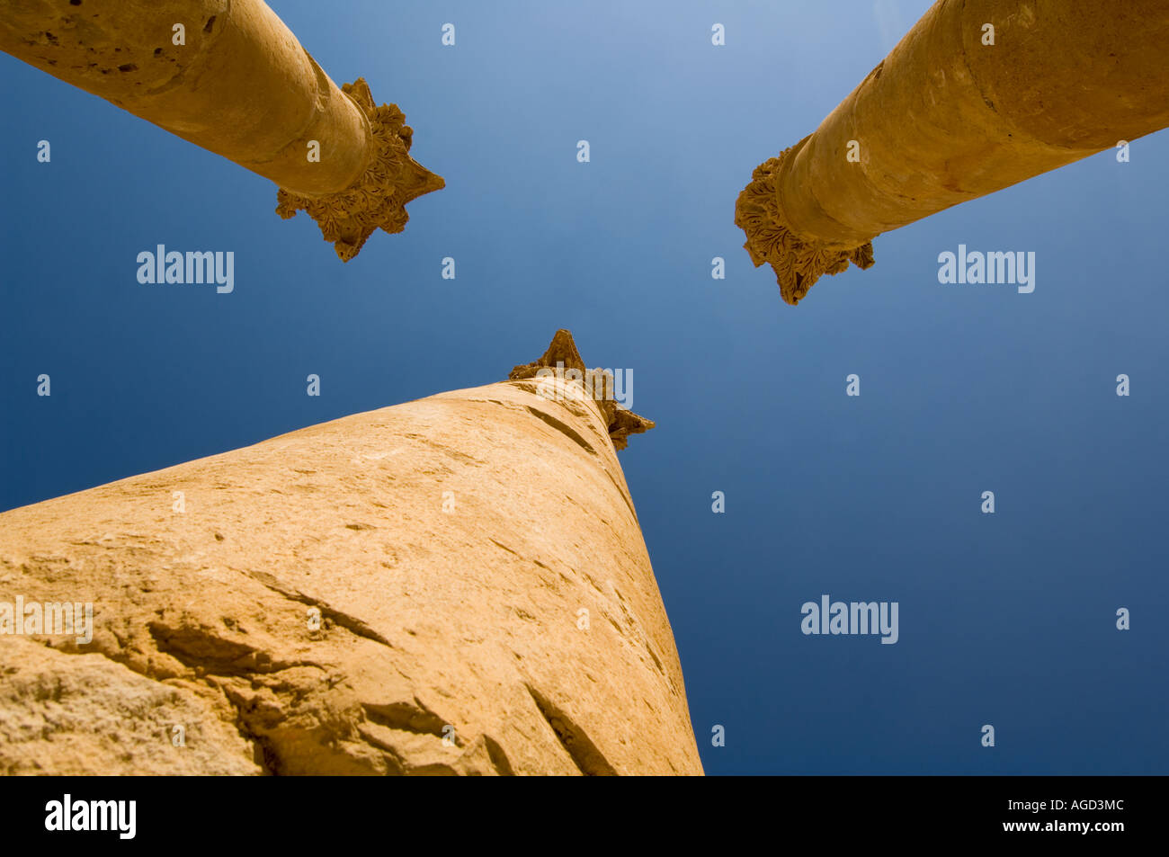 Pillars at The Temple of Artemis at Jerash, Jordan Stock Photo - Alamy
