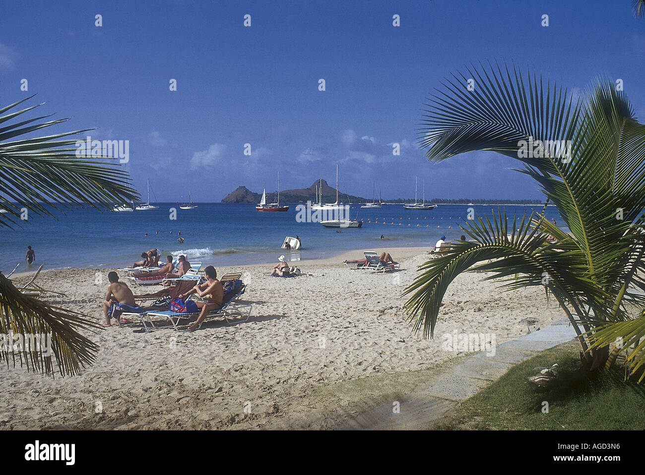 Reduit beach in st lucia hi-res stock photography and images - Alamy