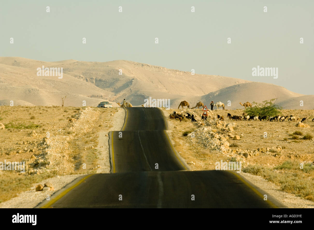 Desert road to Madaba in Jordan Stock Photo - Alamy