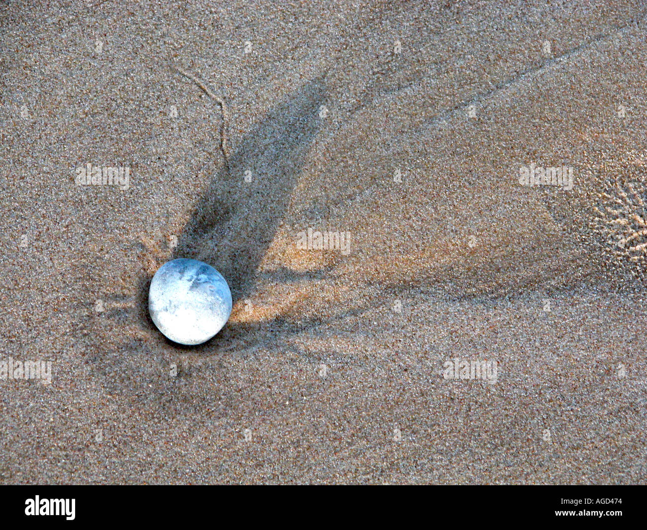 white pebble on beach sand Stock Photo - Alamy