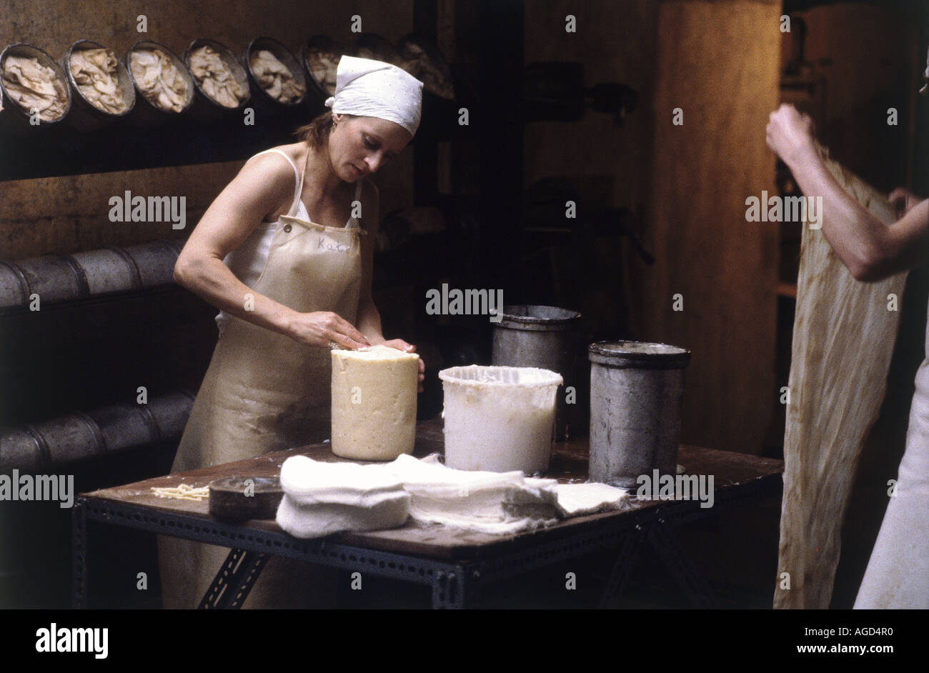 A woman making cheese Stock Photo - Alamy