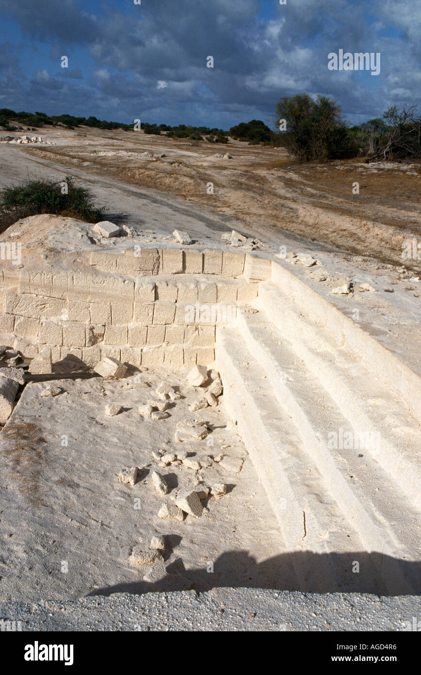 On Shell Beach Hamelin Pool Western Australia the shells are so ...