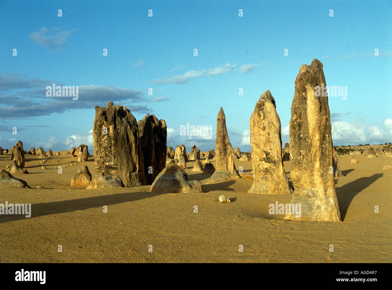 In the Pinnacles Desert in the coastal Nambung National Park the sand ...