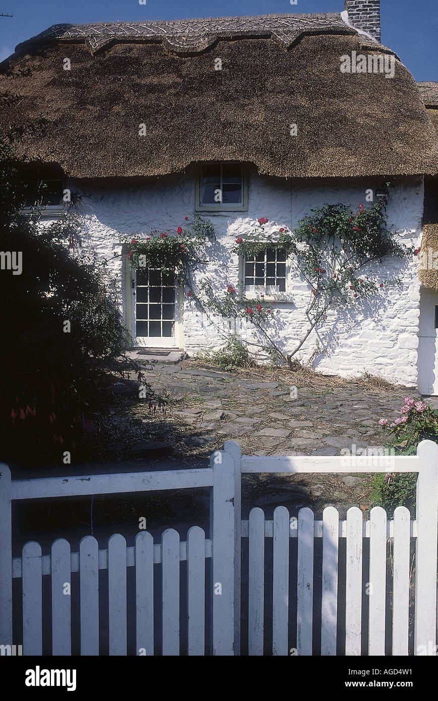This thatched white washed cottage is typical of the small off shore ...