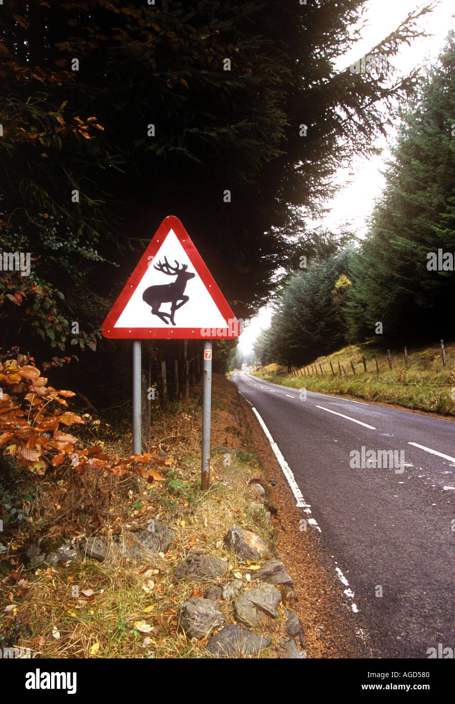 Deer Road Sign Uk