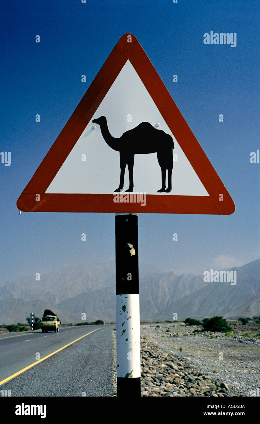 Camel sign hi-res stock photography and images - Alamy