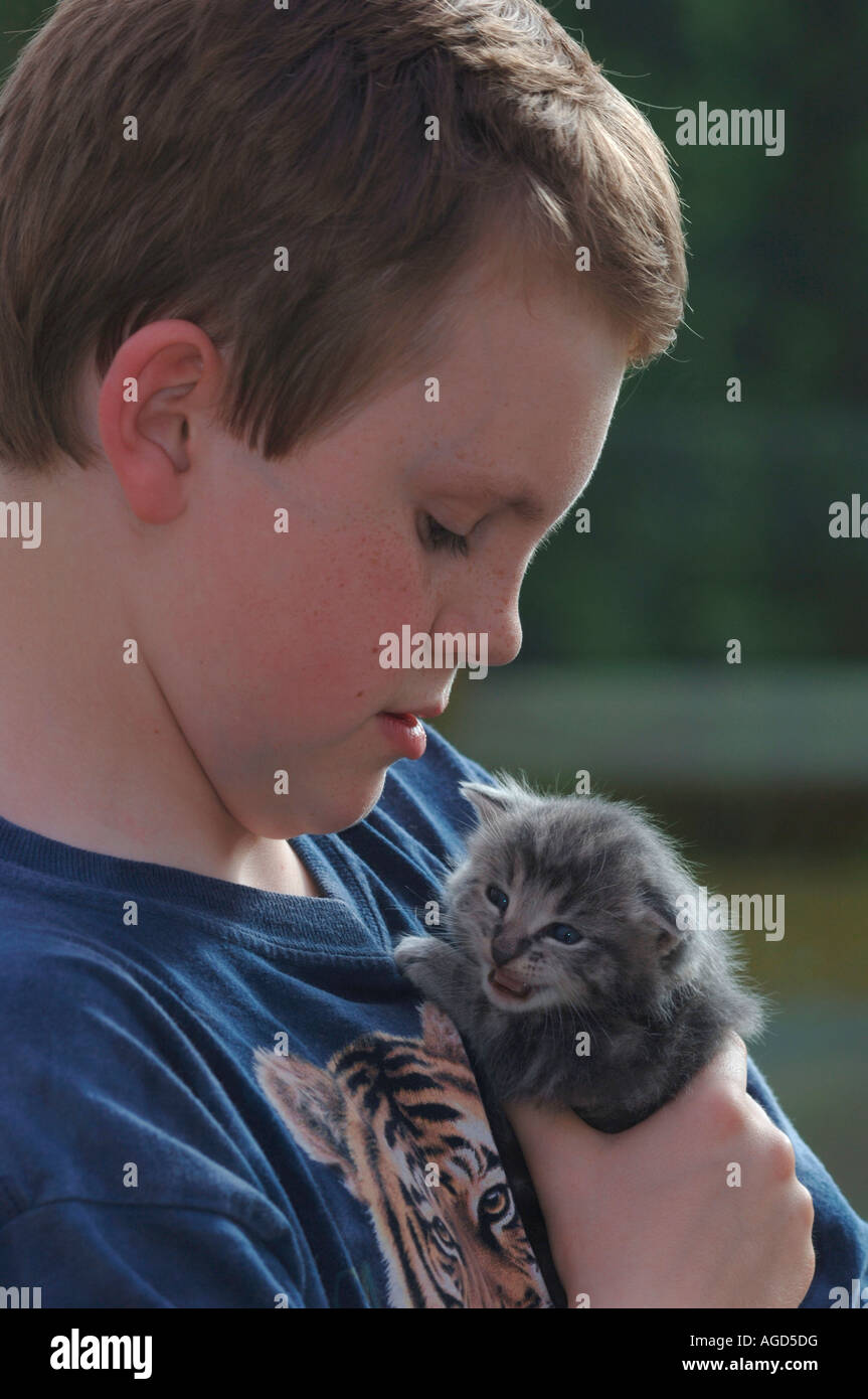A Boy Holding A Kitten Stock Photo - Alamy