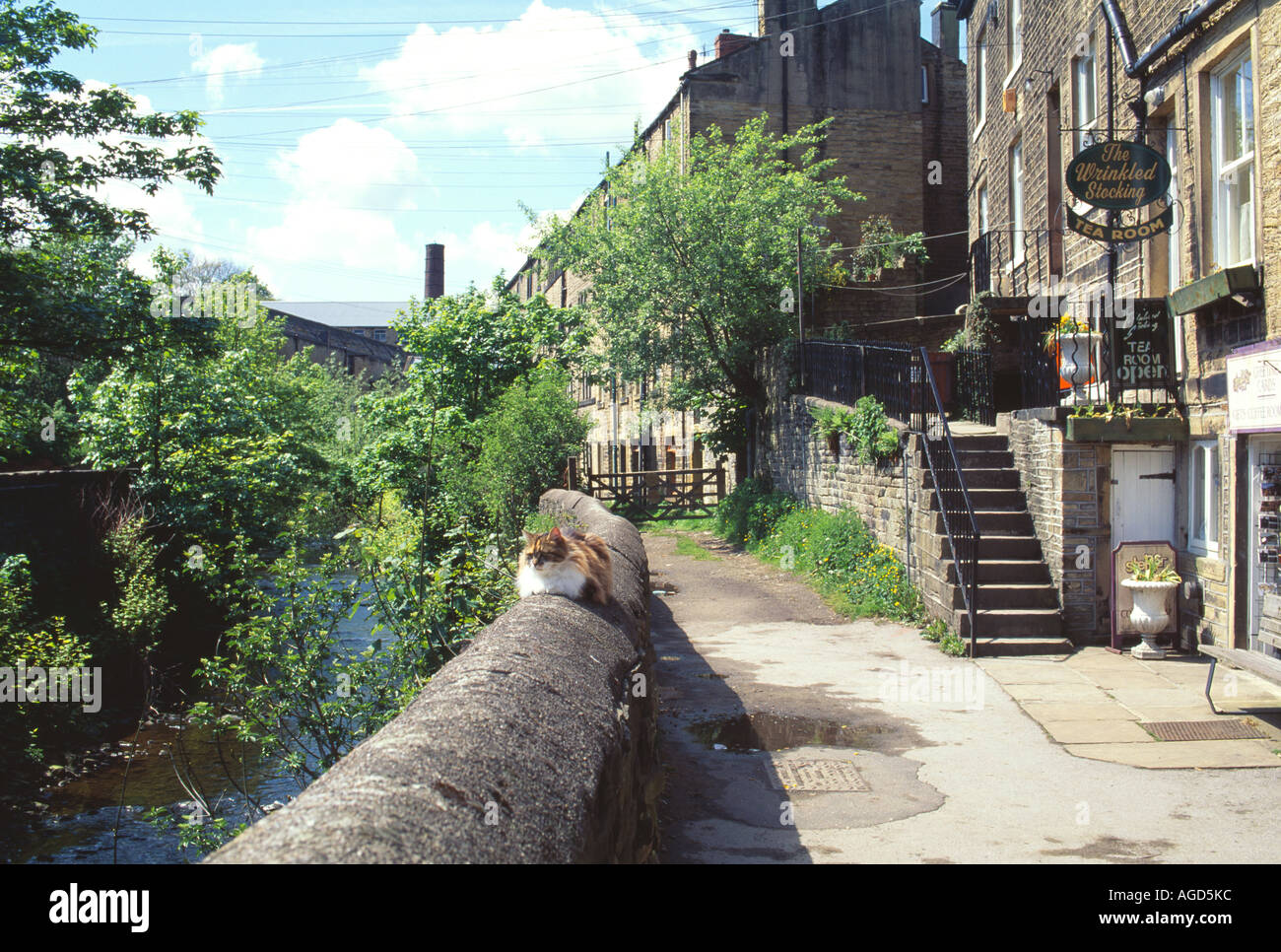 Nora batty hi-res stock photography and images - Alamy