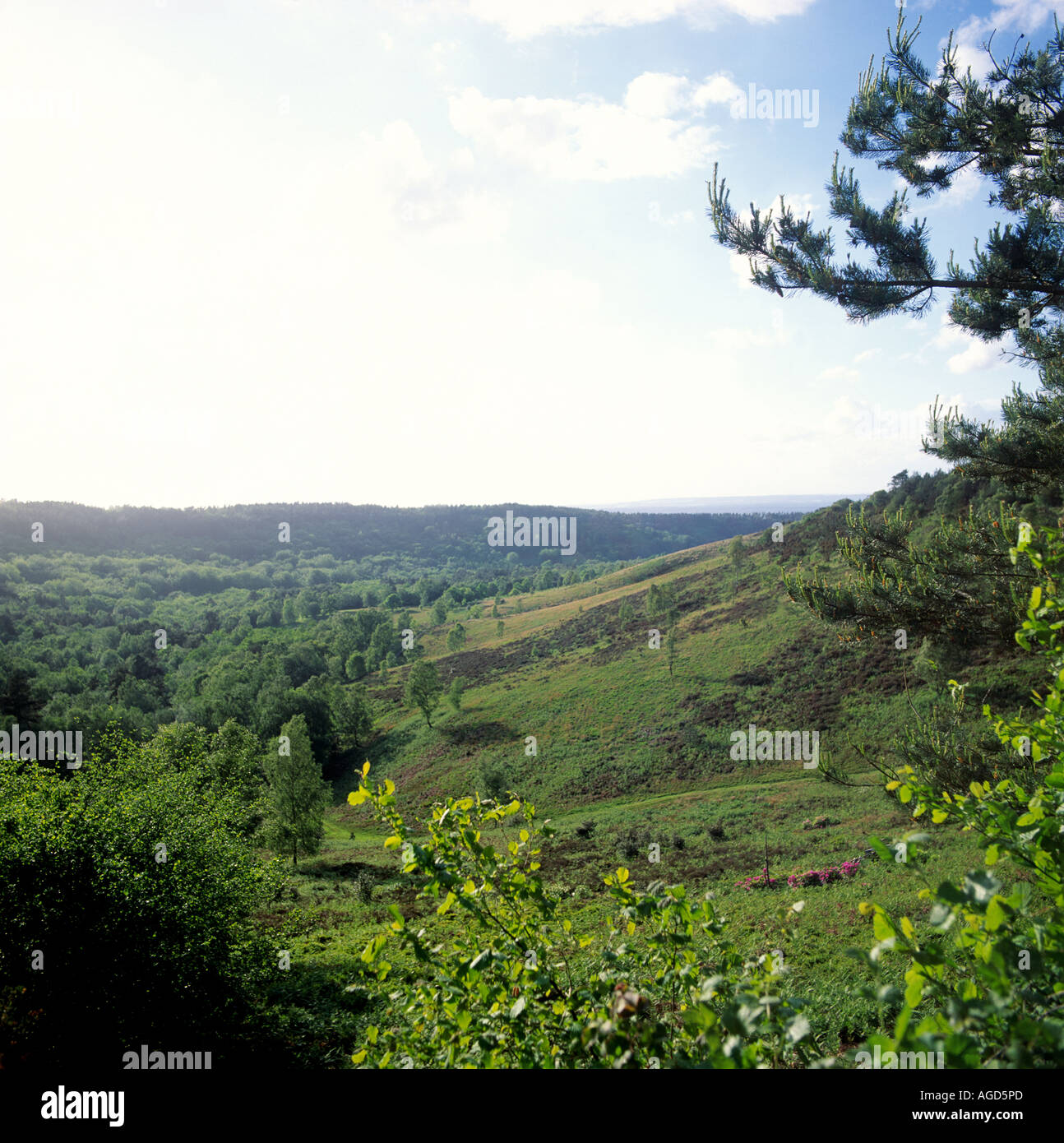 Steep sided slopes hi-res stock photography and images - Alamy