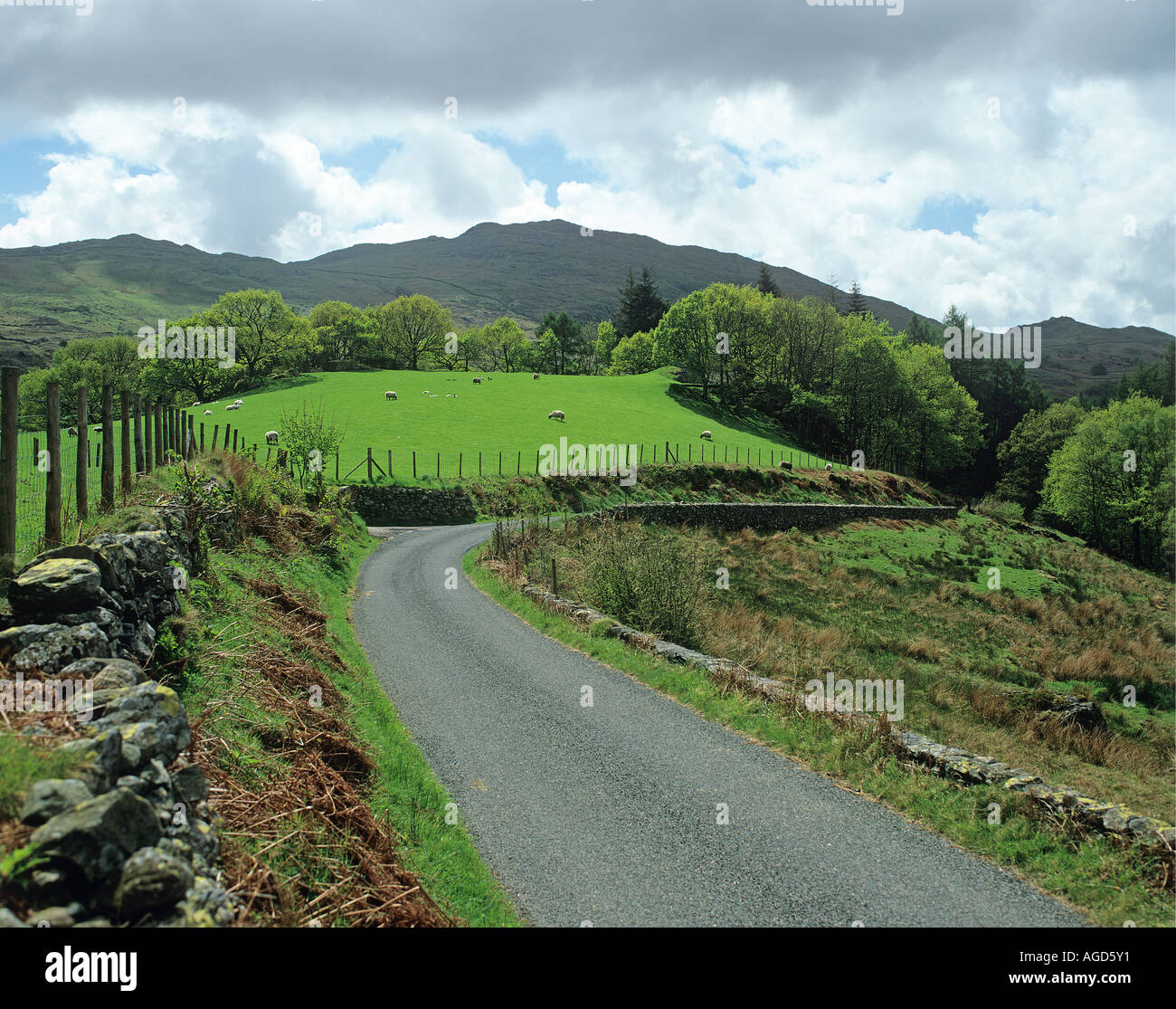 Road through Dunnerdale Stock Photo - Alamy