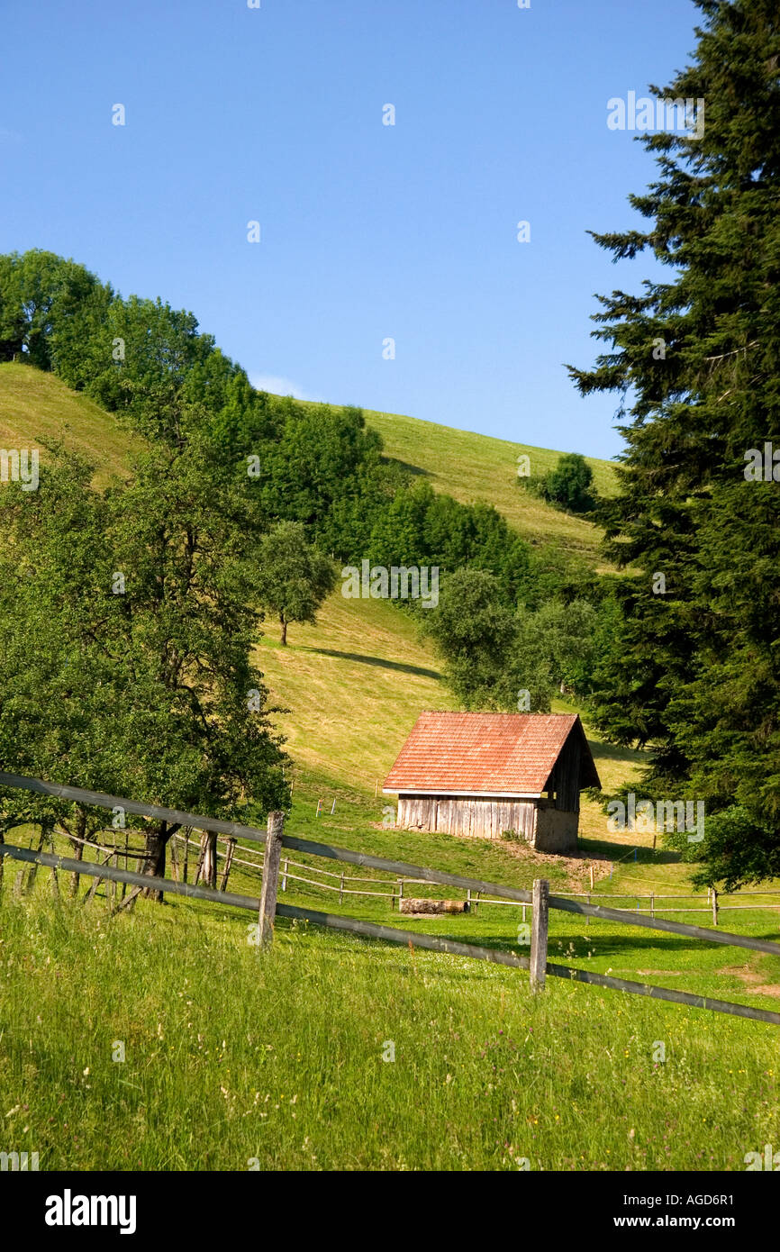 Rolling hills in the Alps near Zurich, Switzerland Stock Photo - Alamy