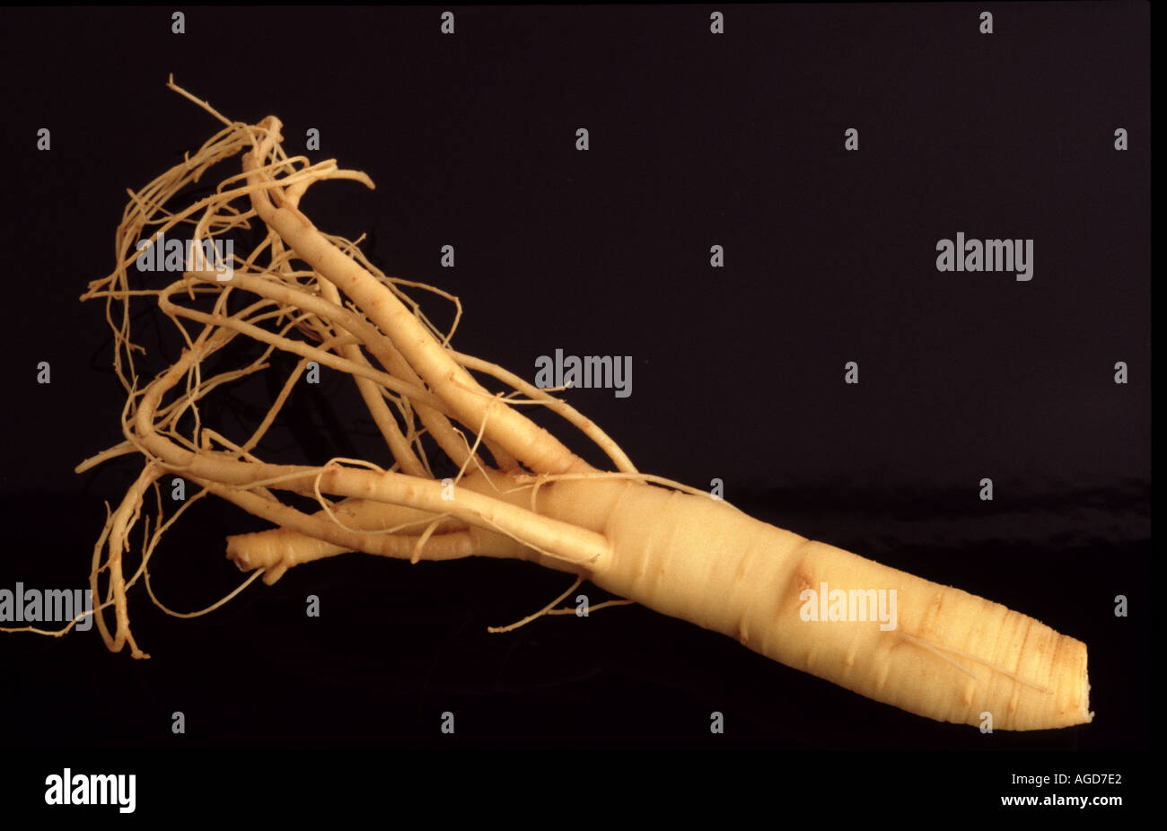 Panax hi-res stock photography and images - Alamy