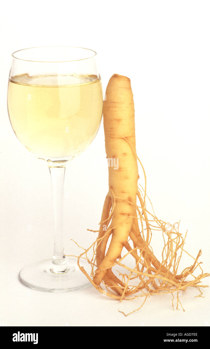 Ginseng Panax ginseng medicinal root plant Stock Photo - Alamy