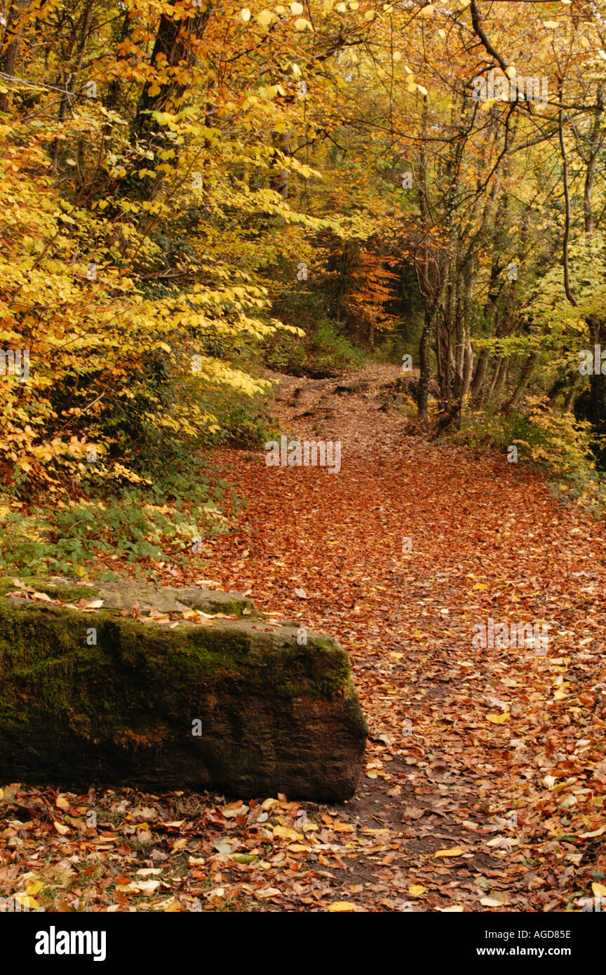 Indoor covered path hi-res stock photography and images - Alamy