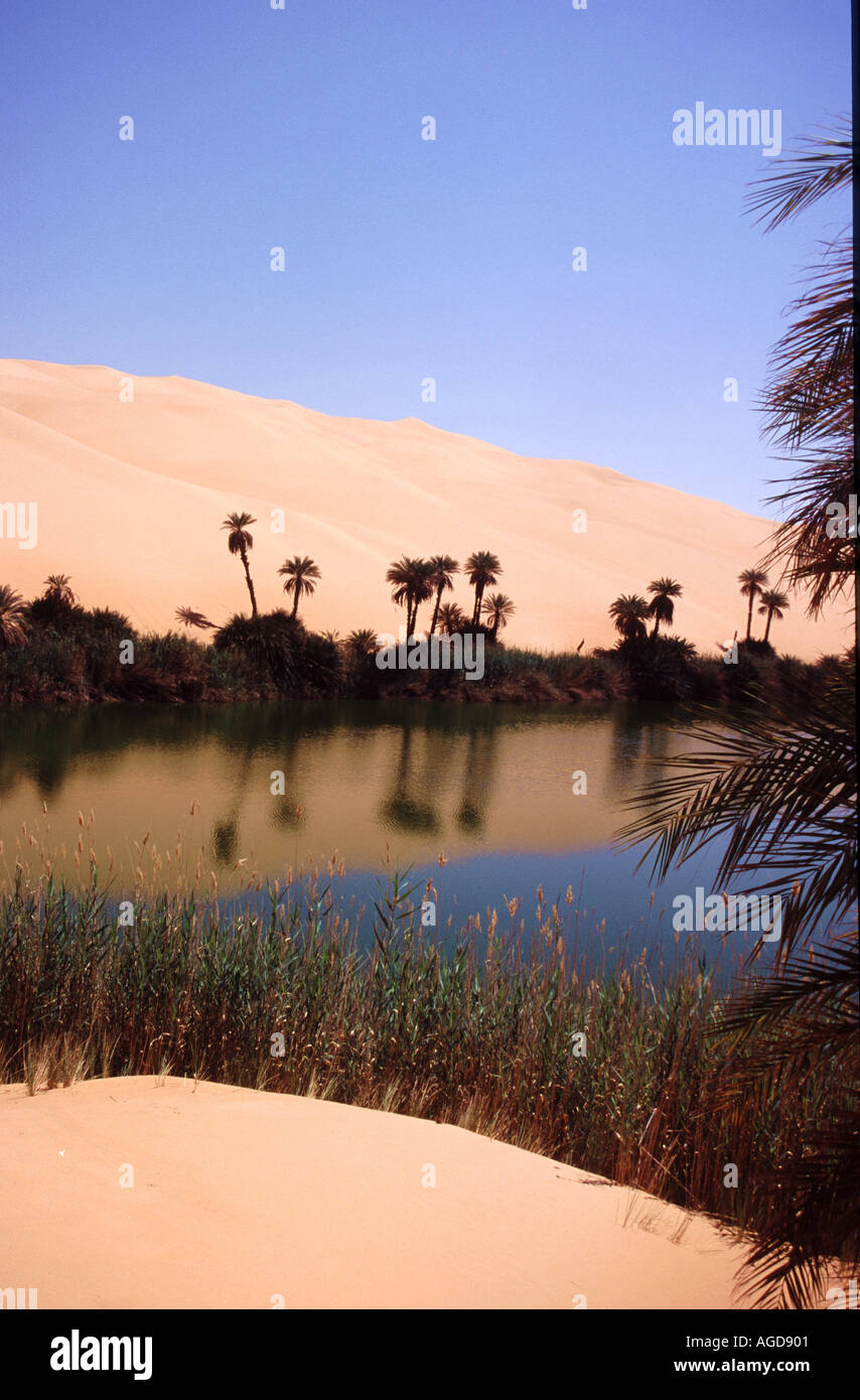 Libya desert Sahara at the oasis of Gabroon at the lake Gabroon Stock ...