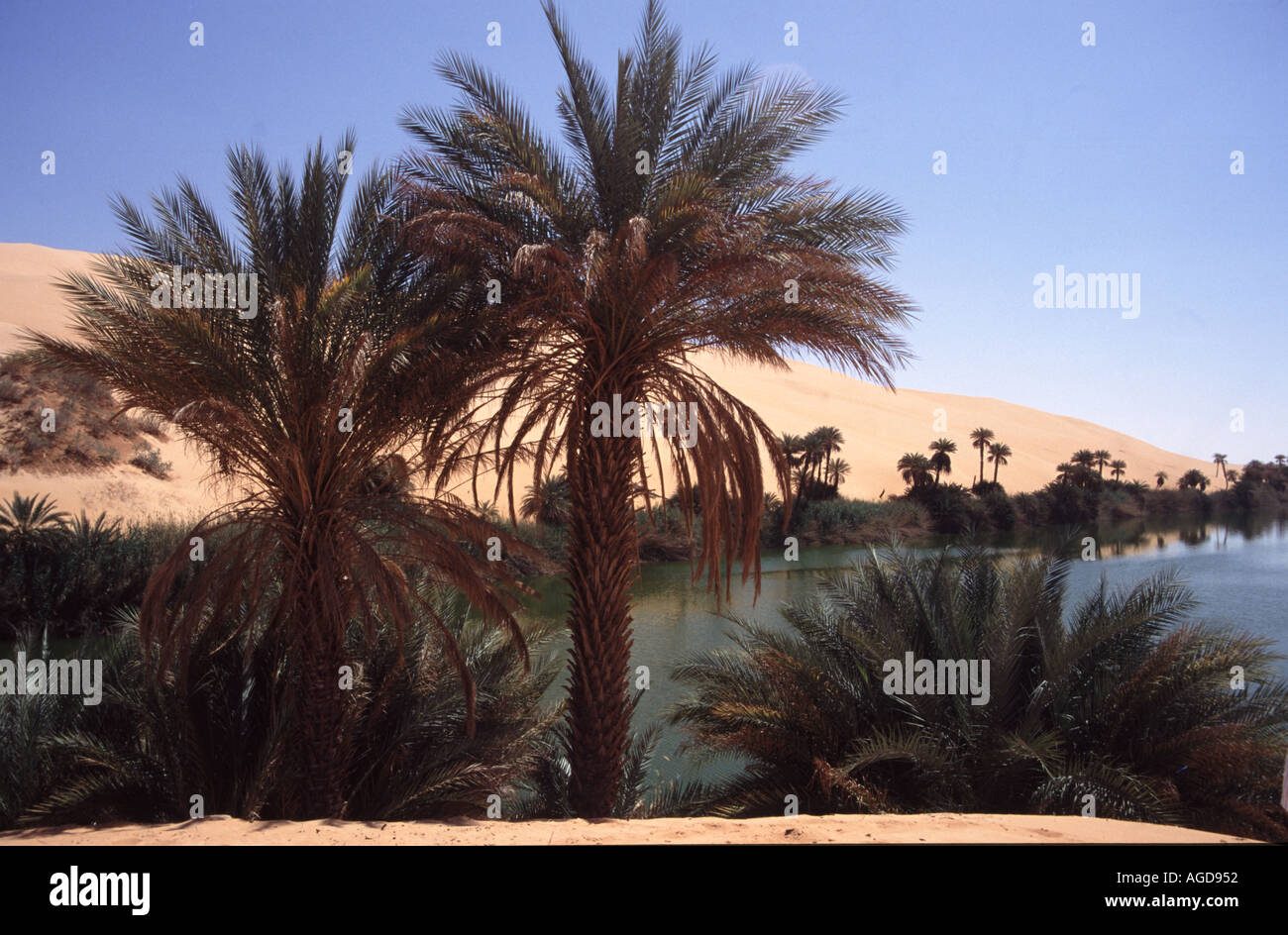 Libya desert Sahara at the oasis of Gabroon at the lake Gabroon Stock ...