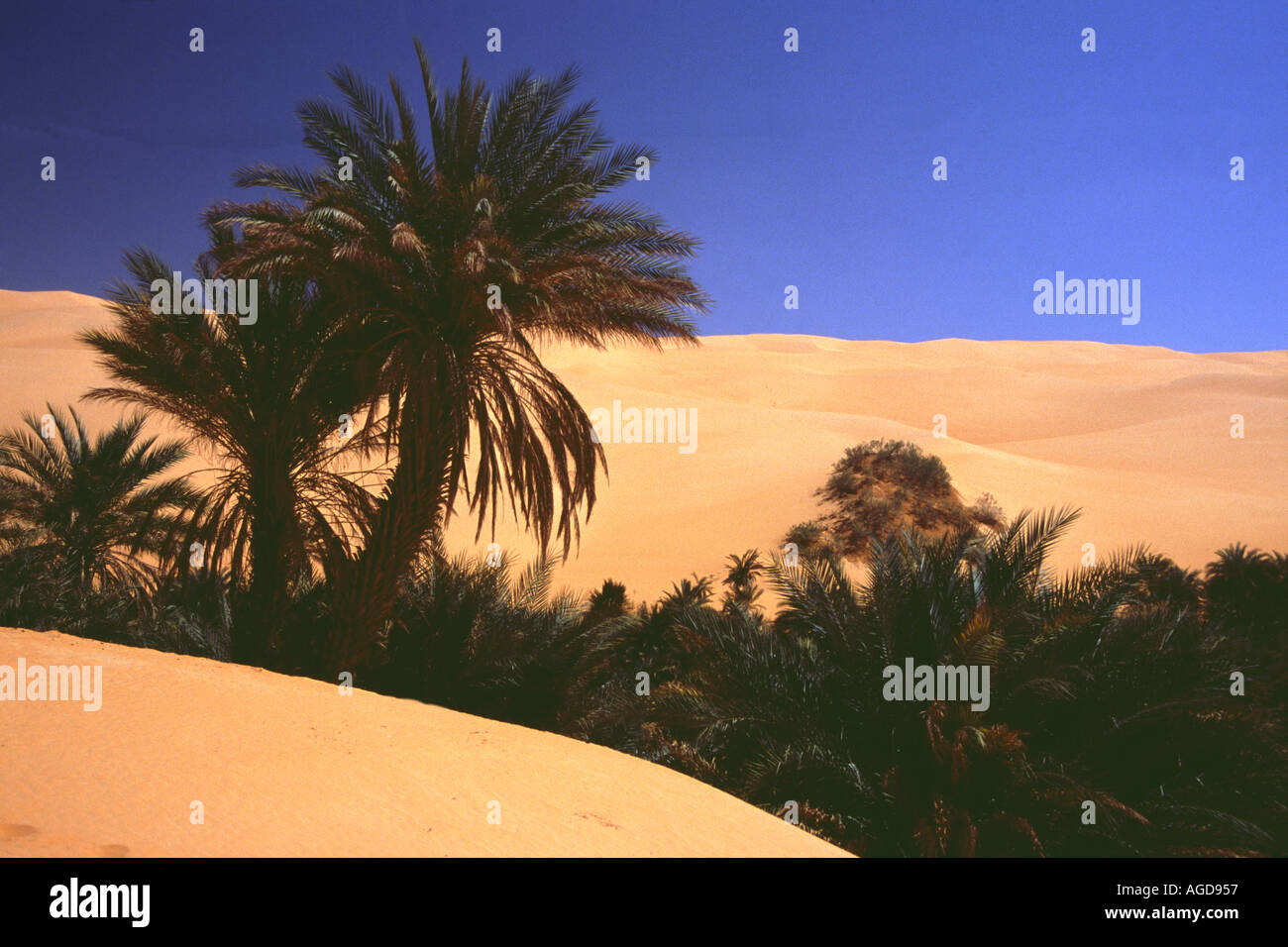 Oase hi-res stock photography and images - Alamy