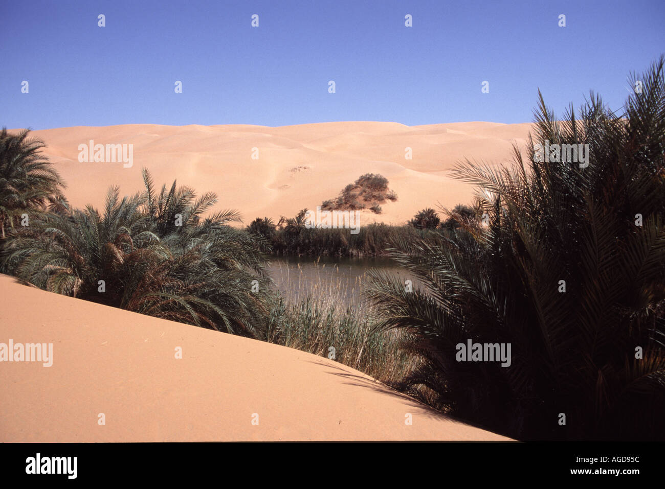 Libya desert Sahara at the oasis of Gabroon at the lake Gabroon Stock ...