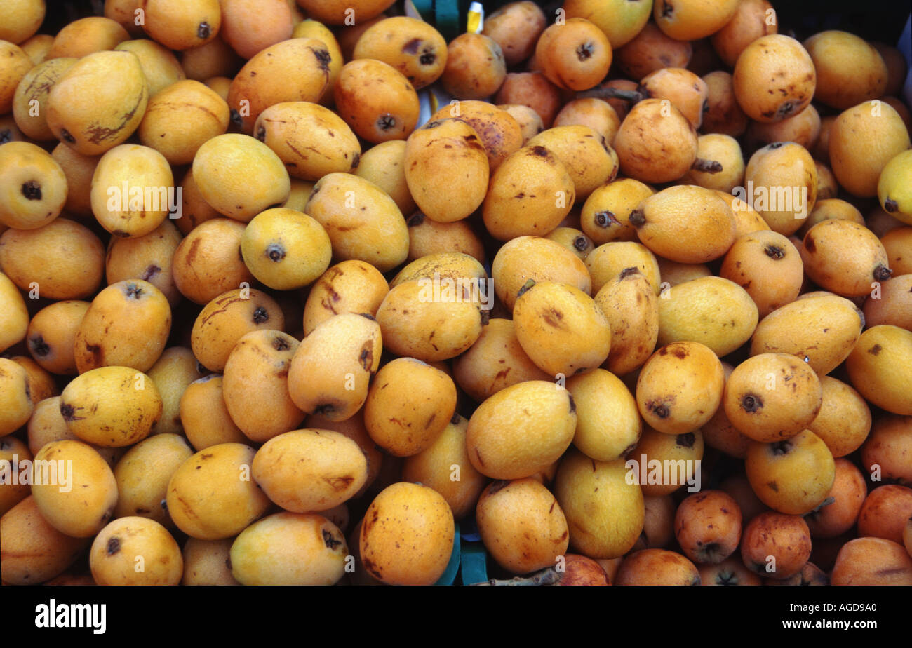 Market stall with fresh Lomquat fruits food Eribotryra japonica ...