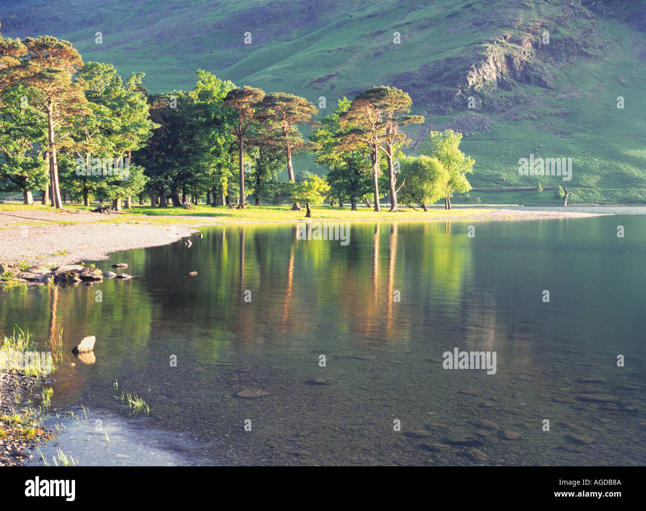 Buttermere English Lake District Shoreline Stock Photo - Alamy