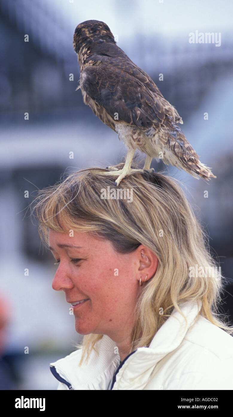 woman with bird on head Stock Photo - Alamy