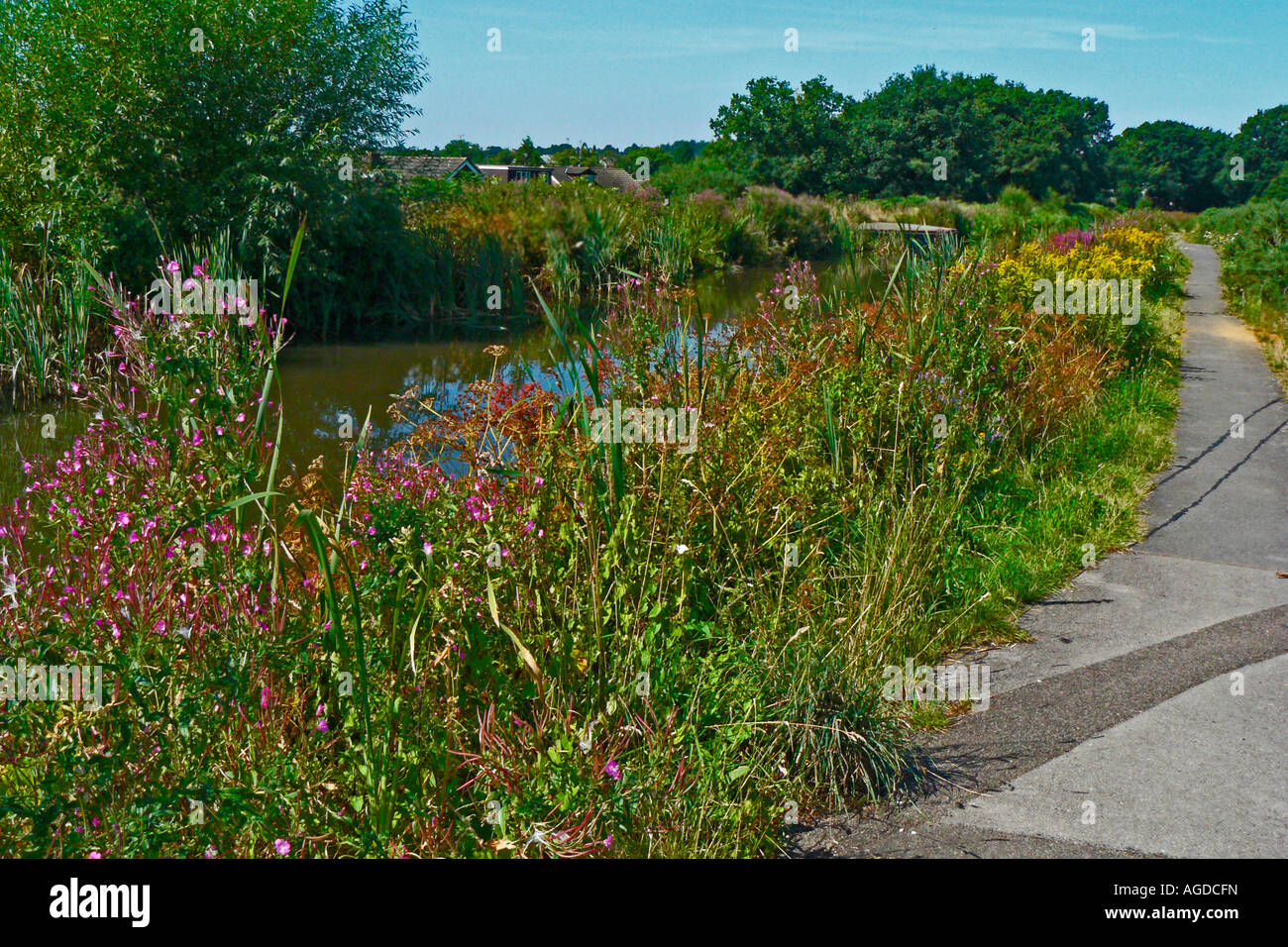 Ash vale hampshire hi-res stock photography and images - Alamy