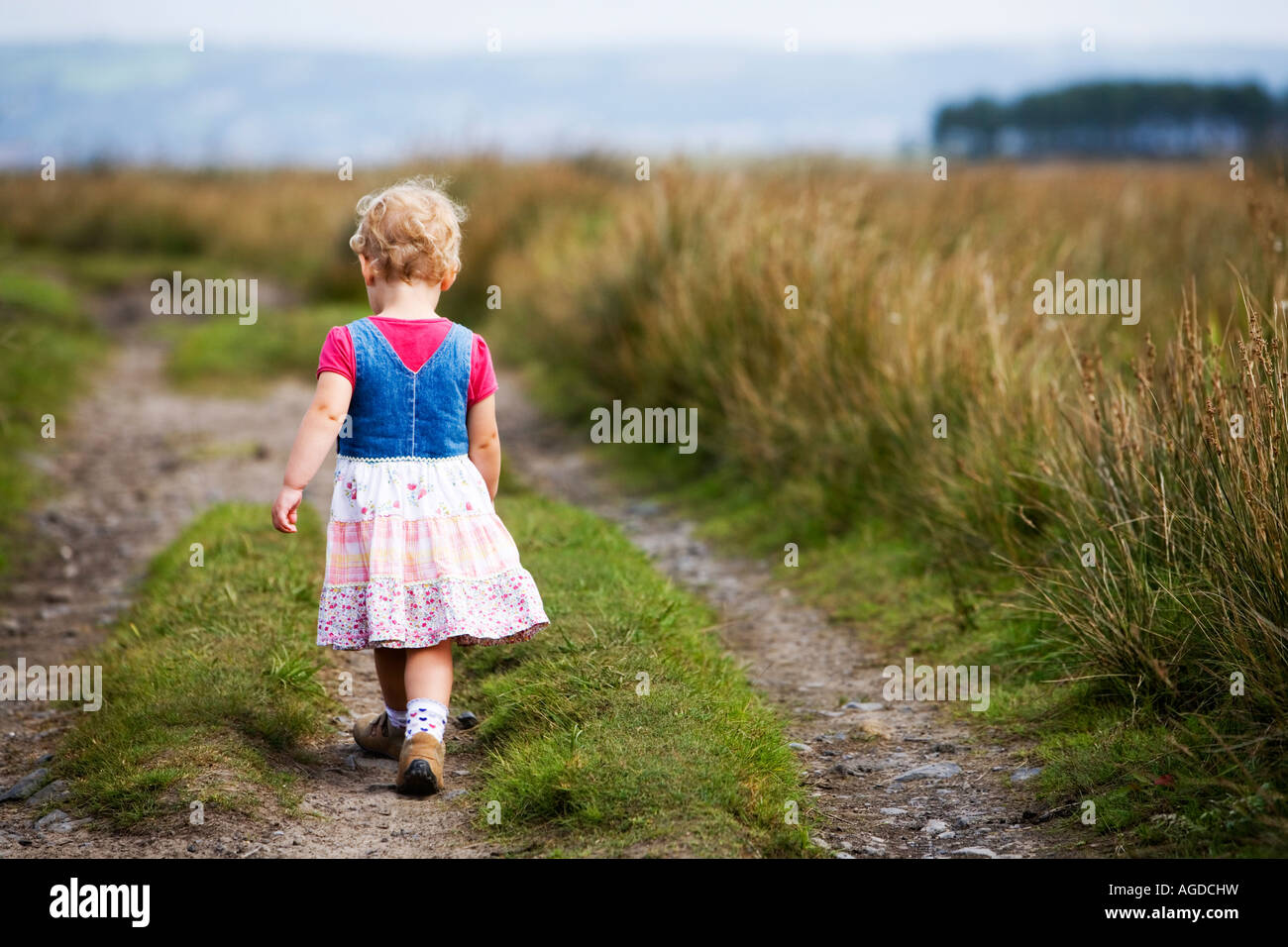 Young girl walking away from camera along country track Stock Photo - Alamy