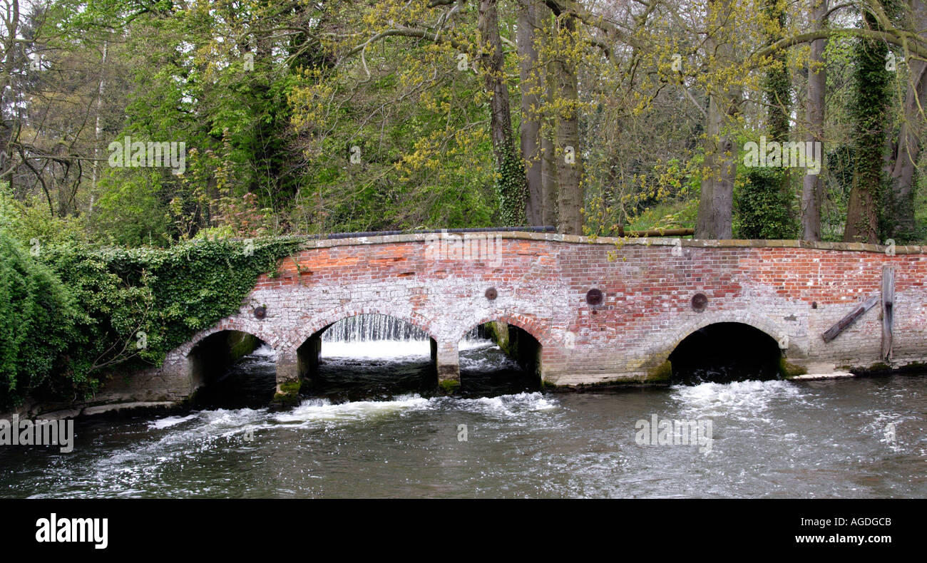 Lyng norfolk hi-res stock photography and images - Alamy