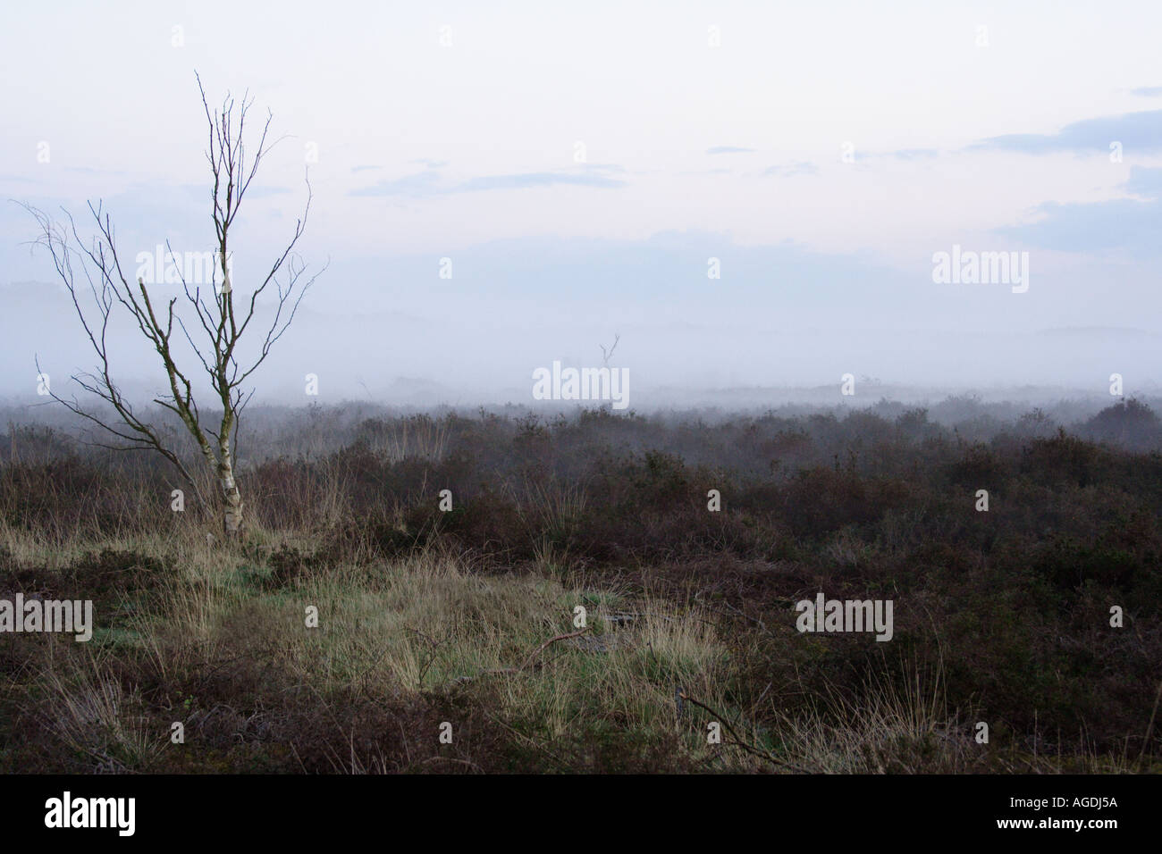 Congham hi-res stock photography and images - Alamy