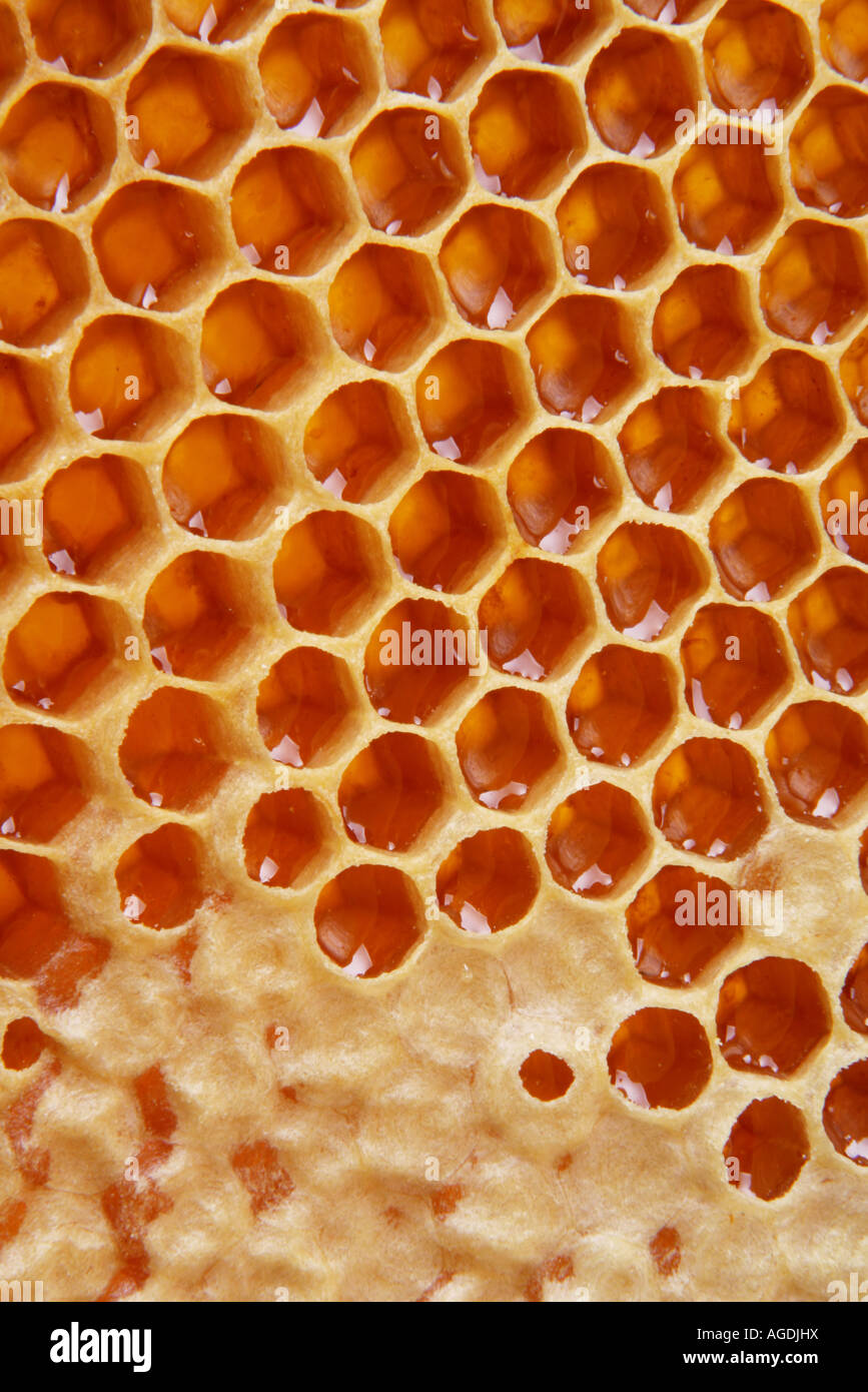 Yellow honeycomb wax cell detail texture background Stock Photo - Alamy