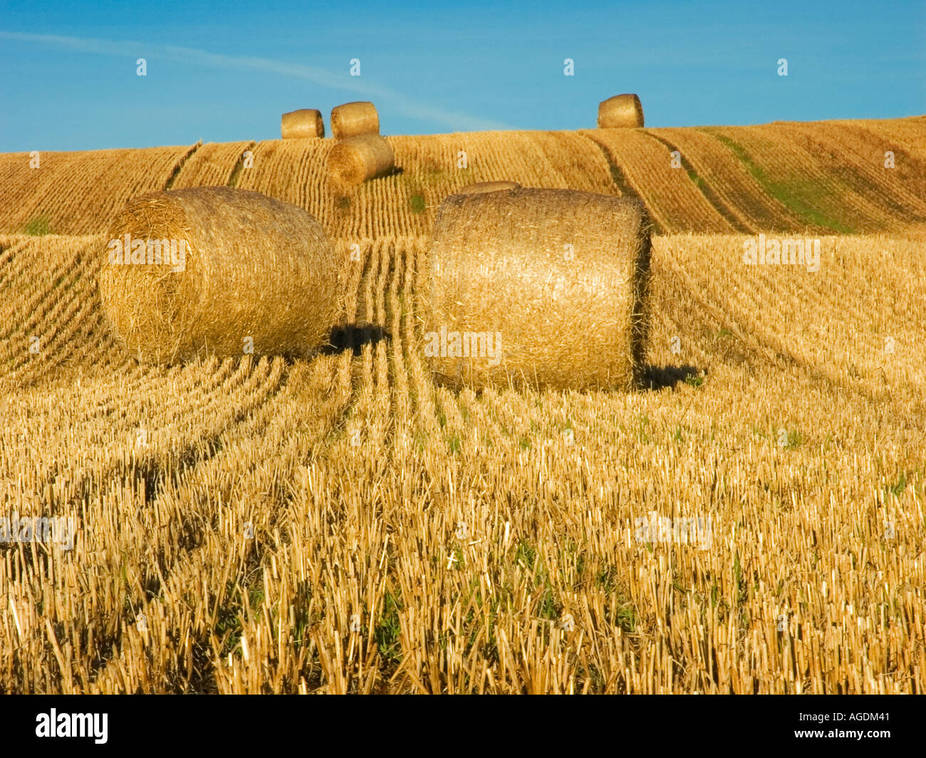 Rural strewn at random hi-res stock photography and images - Alamy