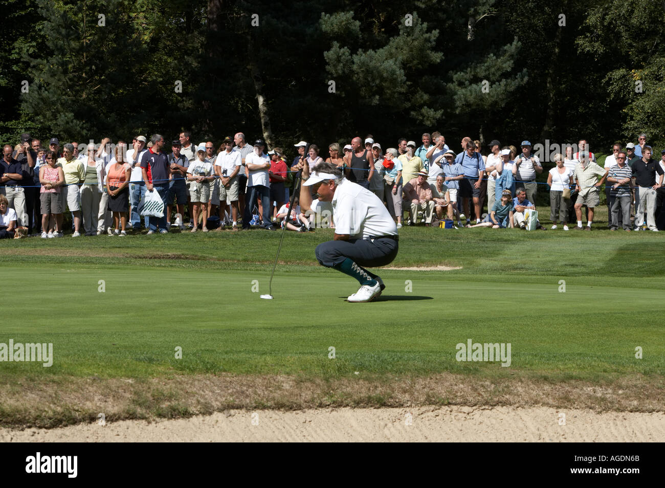 Roger Davis Stock Photo - Alamy