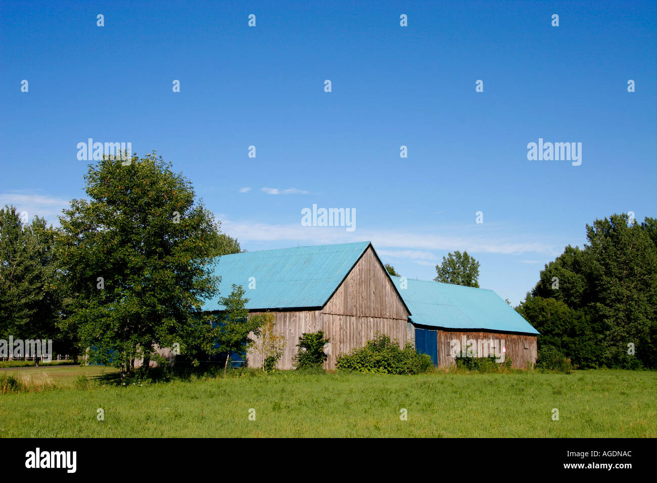 Blue roofed barn Stock Photo - Alamy