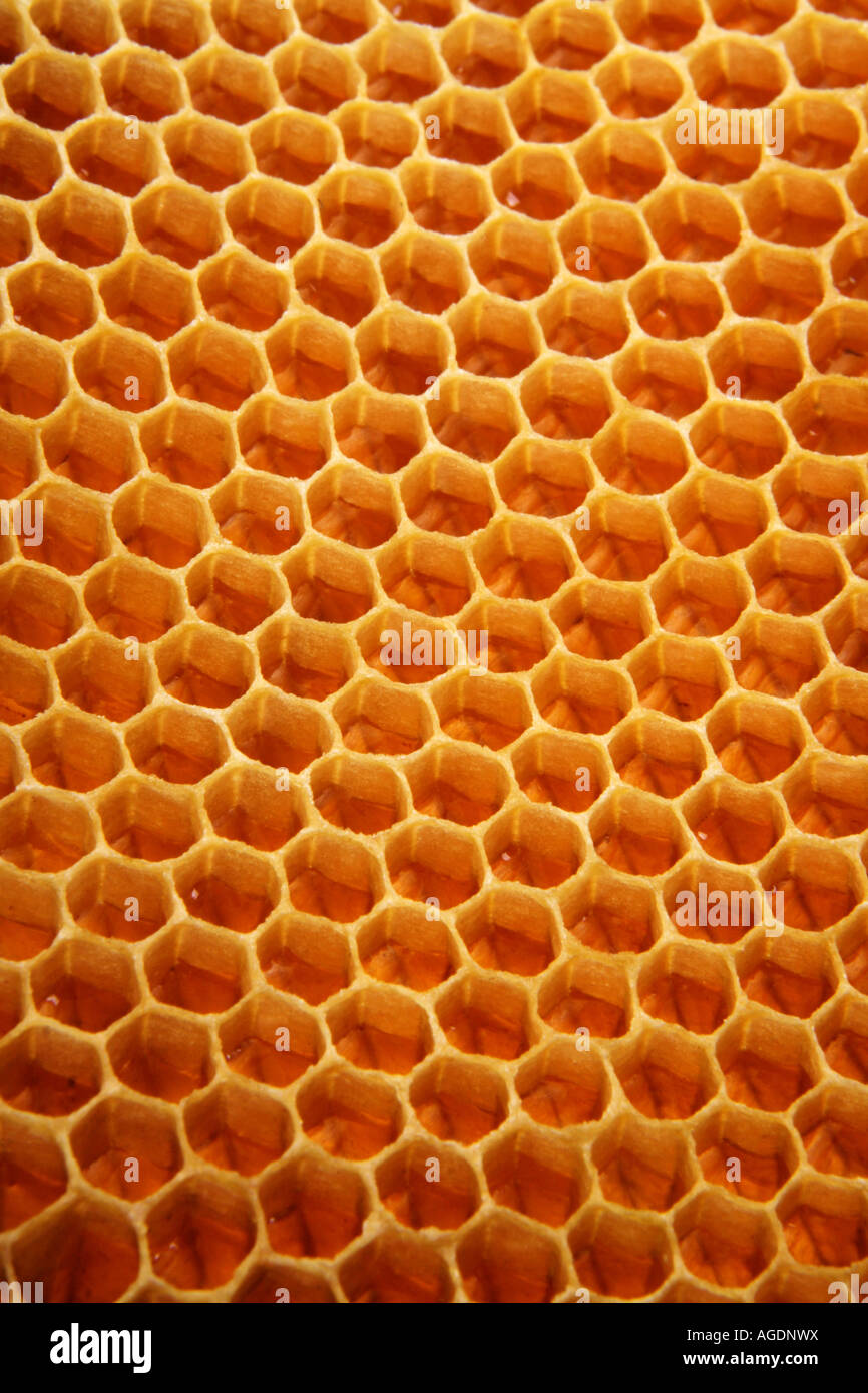 Yellow honeycomb wax cell detail texture background Stock Photo - Alamy