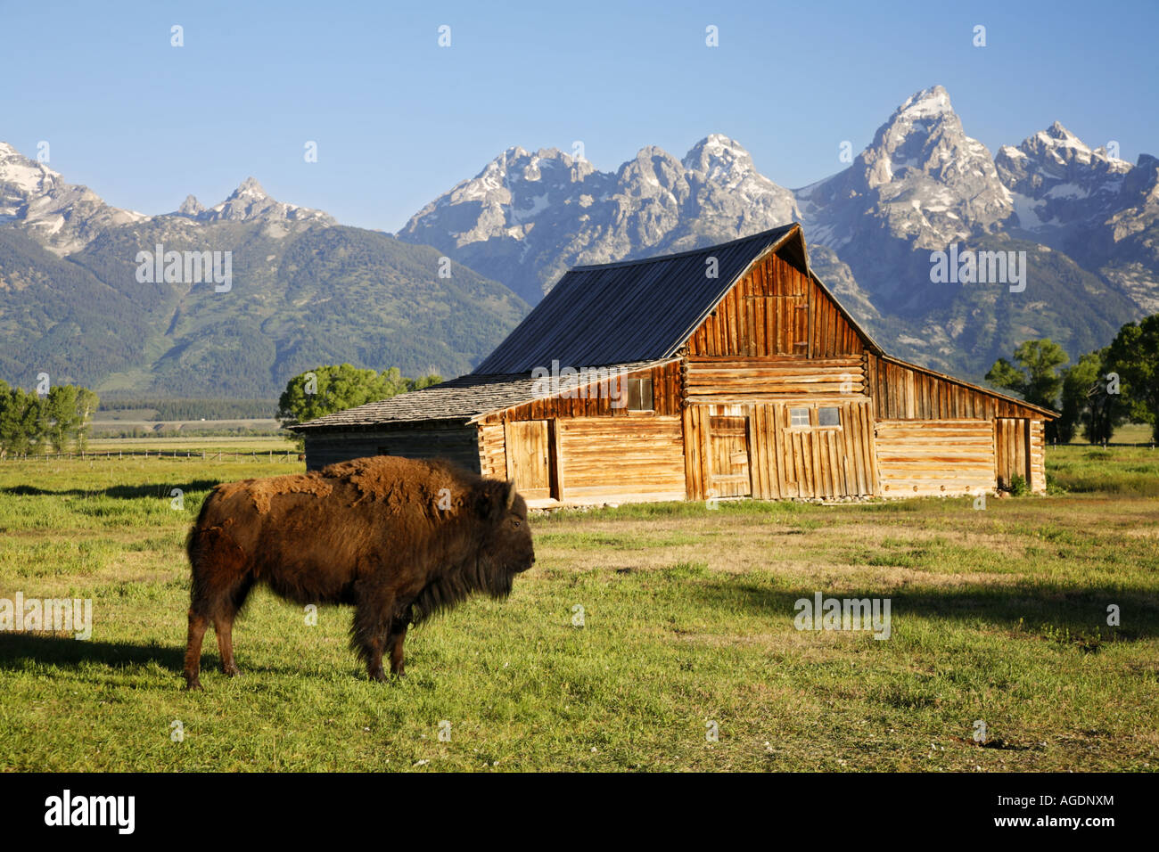 Buffalo landmarks hi-res stock photography and images - Alamy