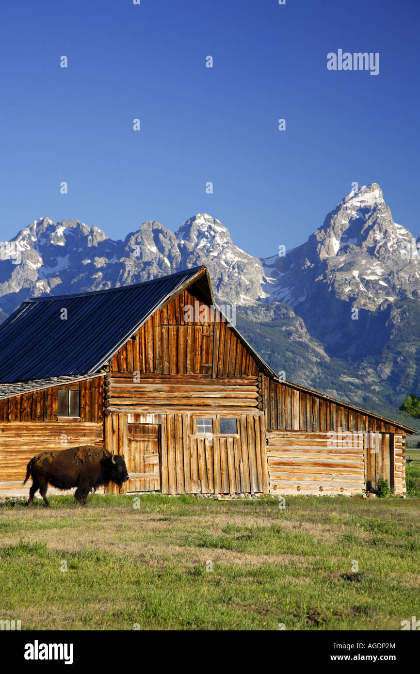 Old mormon barns hi-res stock photography and images - Alamy