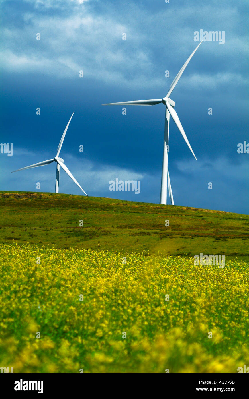 windfarm windmills standing in countryside fields Stock Photo - Alamy