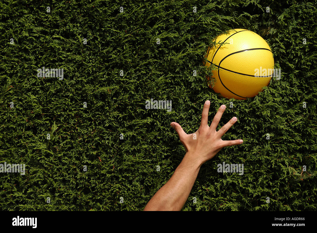 Picture by Patrick Steel www patricksteel co uk Stock Photo - Alamy