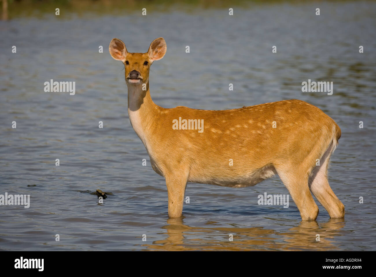 Constant cooling hi-res stock photography and images - Alamy