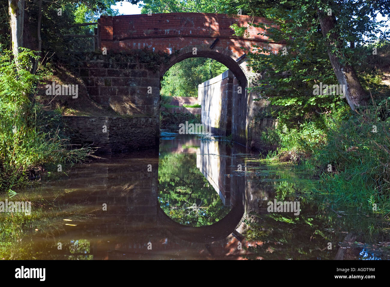 Alfold surrey hi-res stock photography and images - Alamy