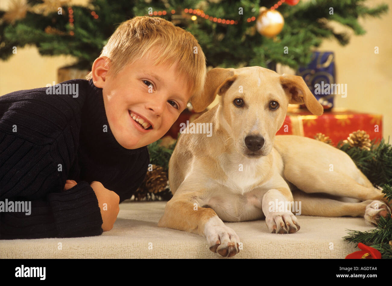 Human tree hybrids hi-res stock photography and images - Alamy