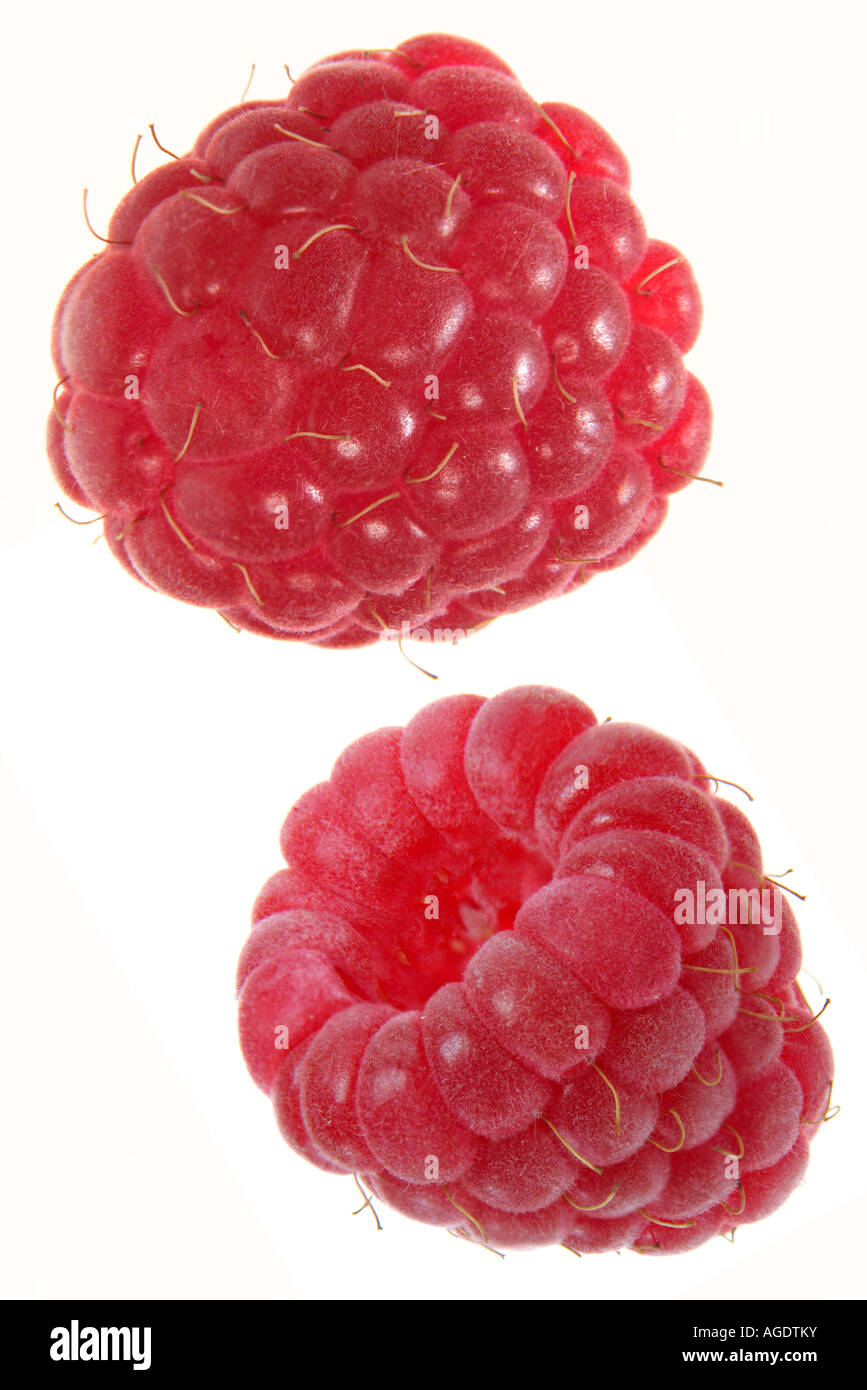Raspberry fruit detail isolated on white background Stock Photo - Alamy