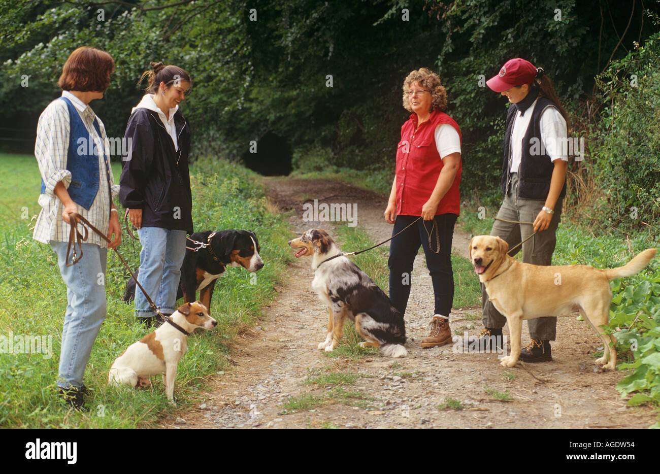 four women with dogs Stock Photo - Alamy