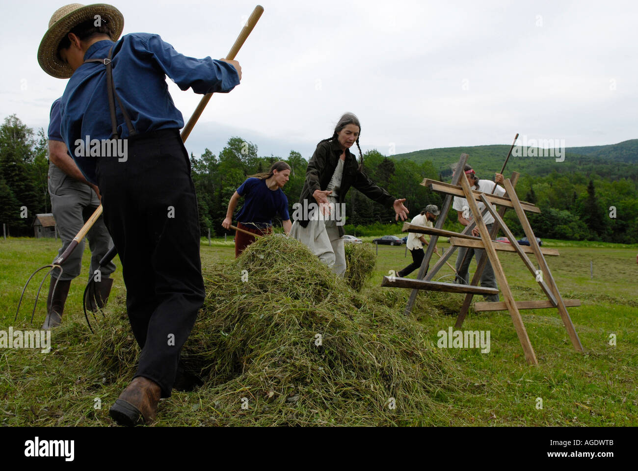 Hay Stooks Stock Photos & Hay Stooks Stock Images - Alamy