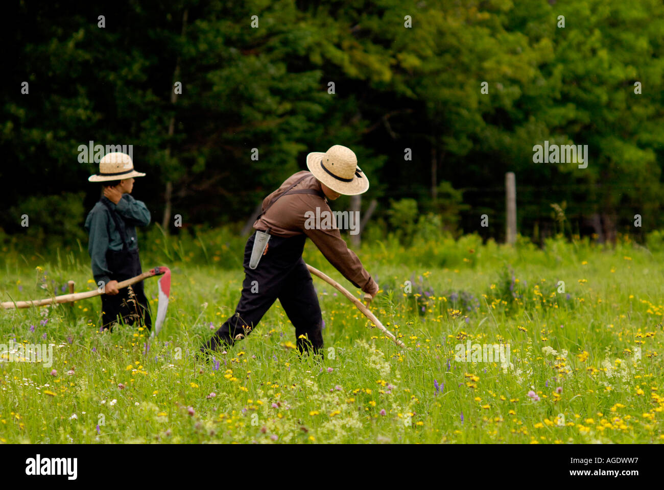 Mennonite children hi-res stock photography and images - Alamy