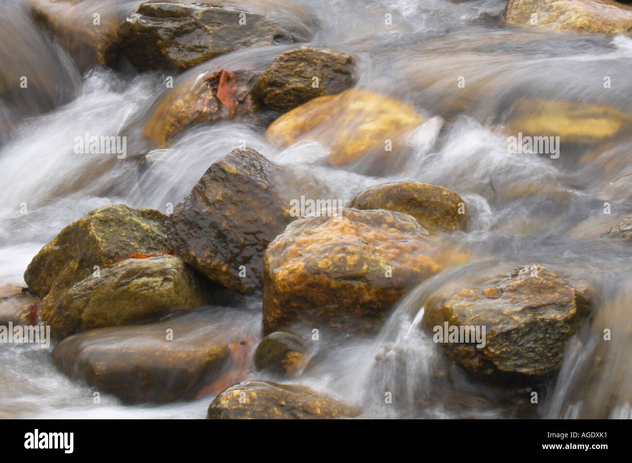 Water cascading over the rocks in the Rocky Broad River at Chimney Rock ...