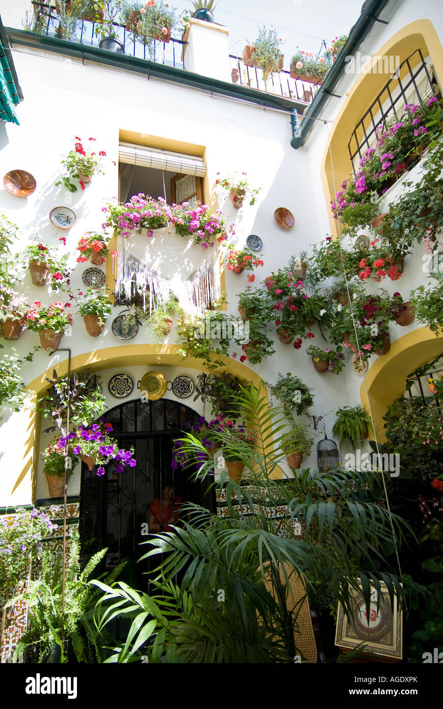 typical patio in Cordoba, Spain Stock Photo - Alamy