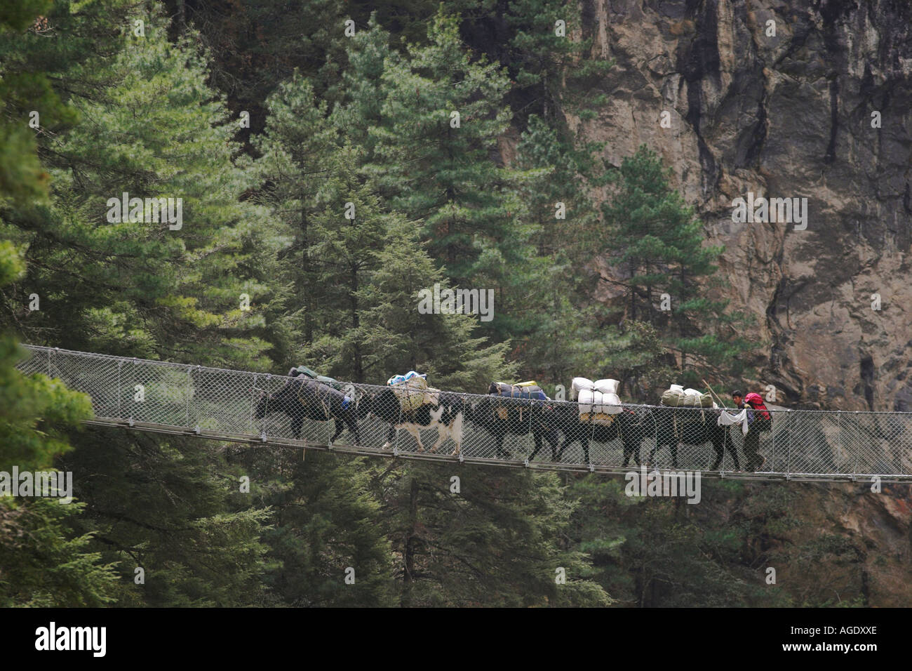 Wire bridge nepal hi-res stock photography and images - Alamy